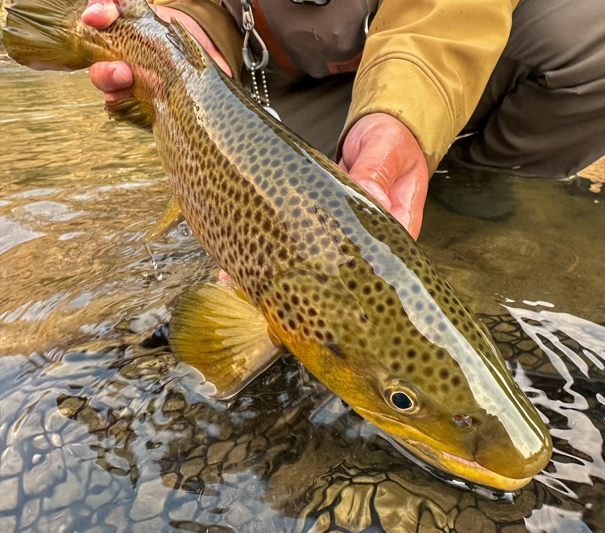 Wind River, Wyoming – Feather Craft Fly Fishing