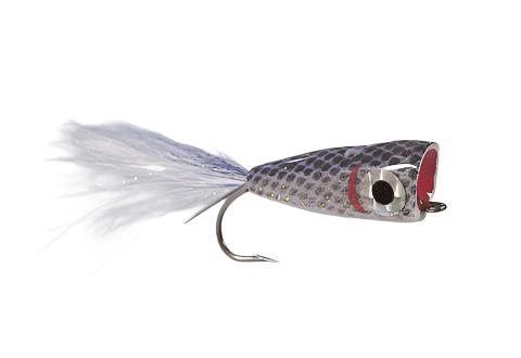 Bubble-Head Popper – Feather Craft Fly Fishing