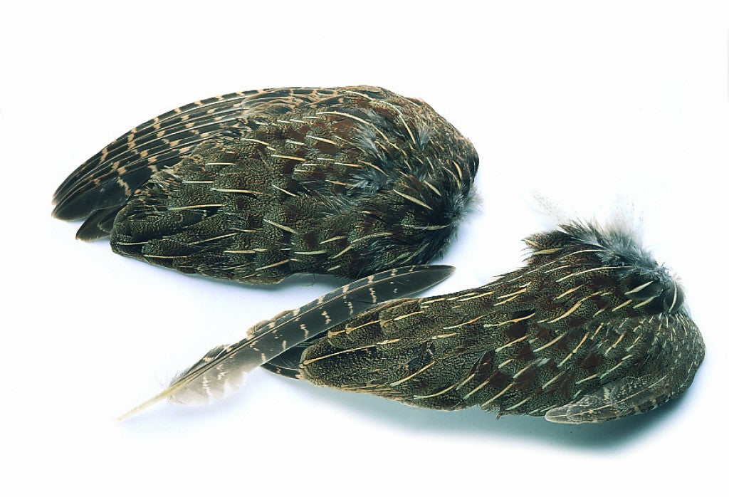 English Grouse Wings – Feather Craft Fly Fishing