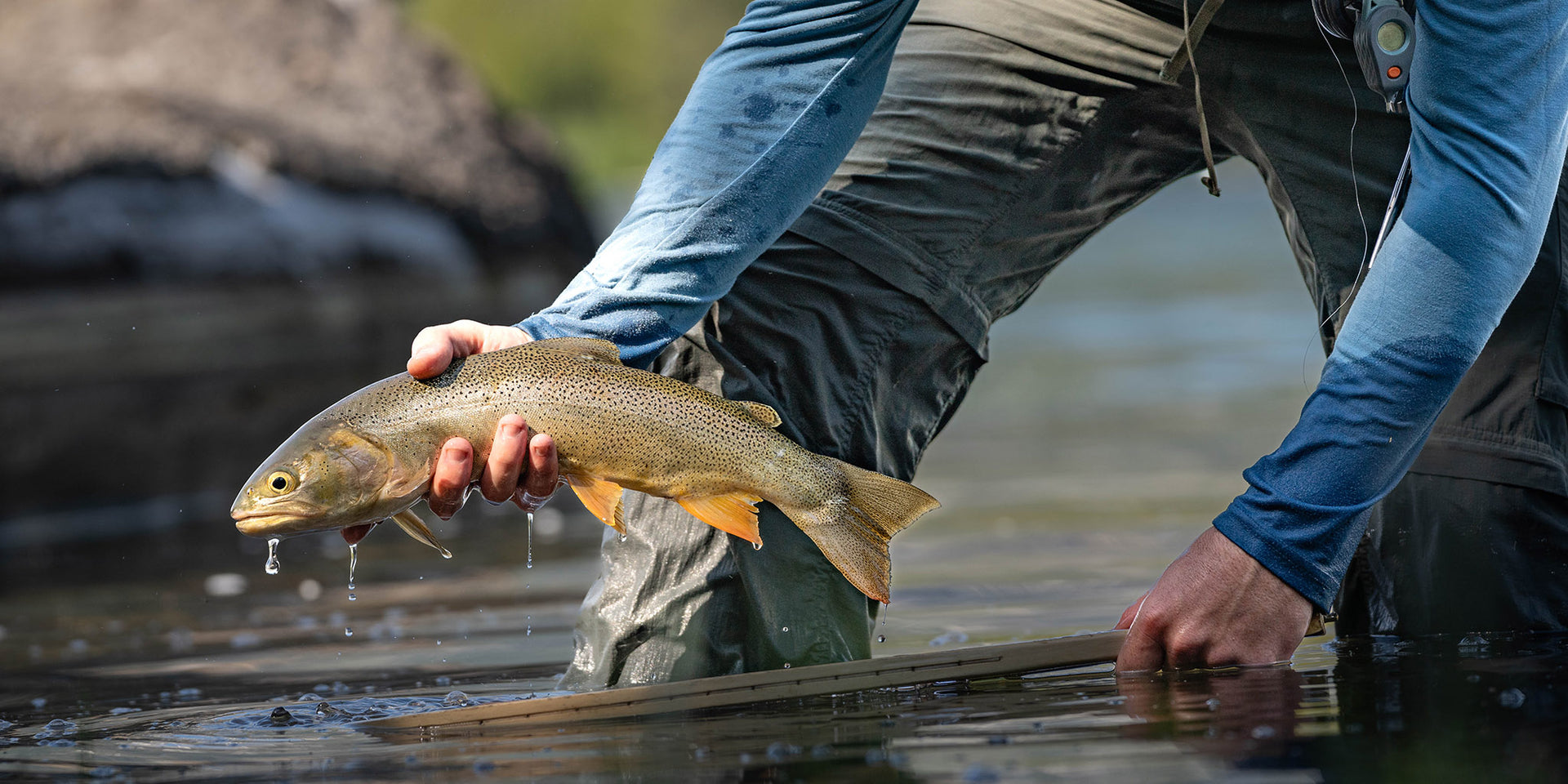 Feather Craft Fly Fishing . Since 1955 . St. Louis, Missouri