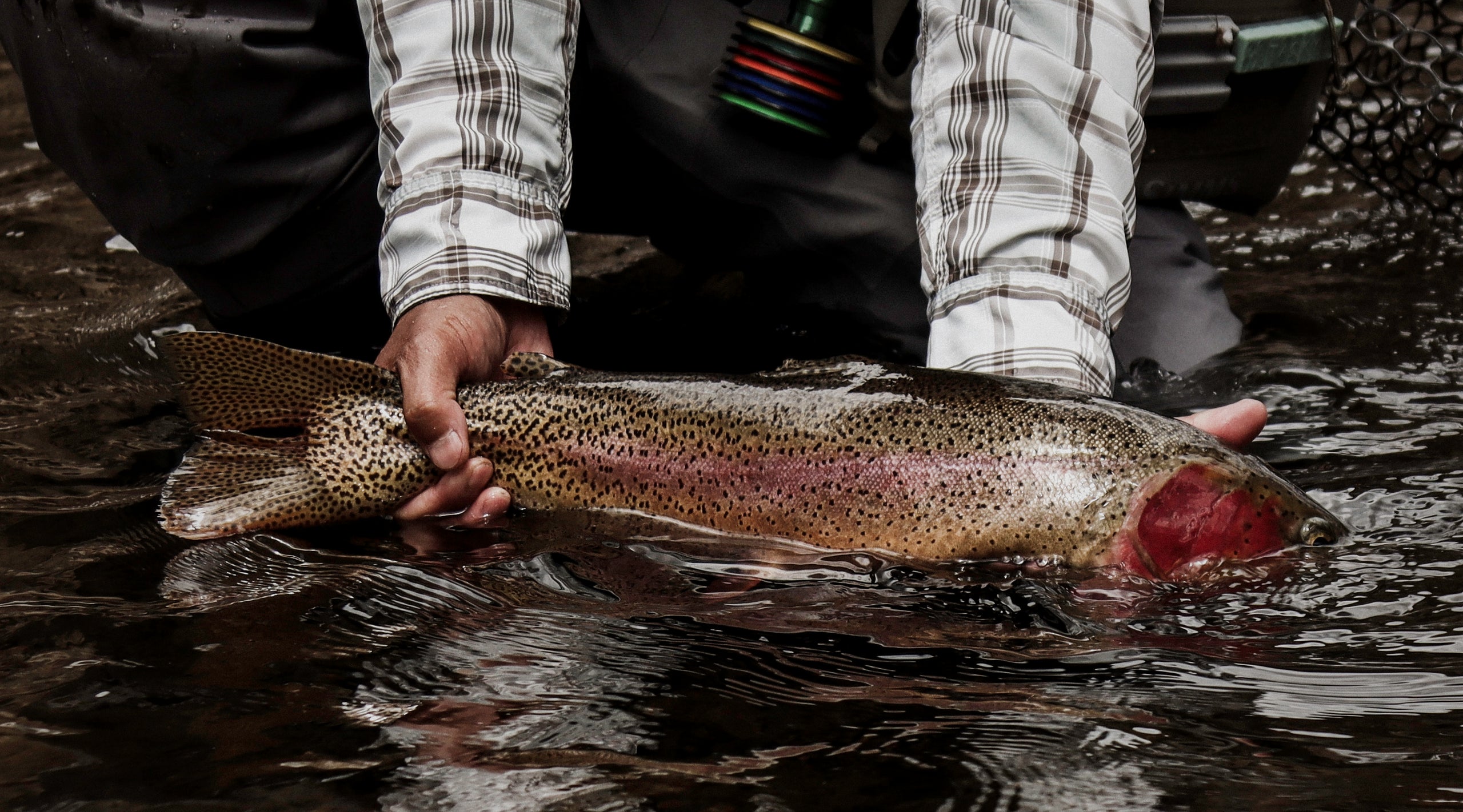 Feather Craft Fly Fishing