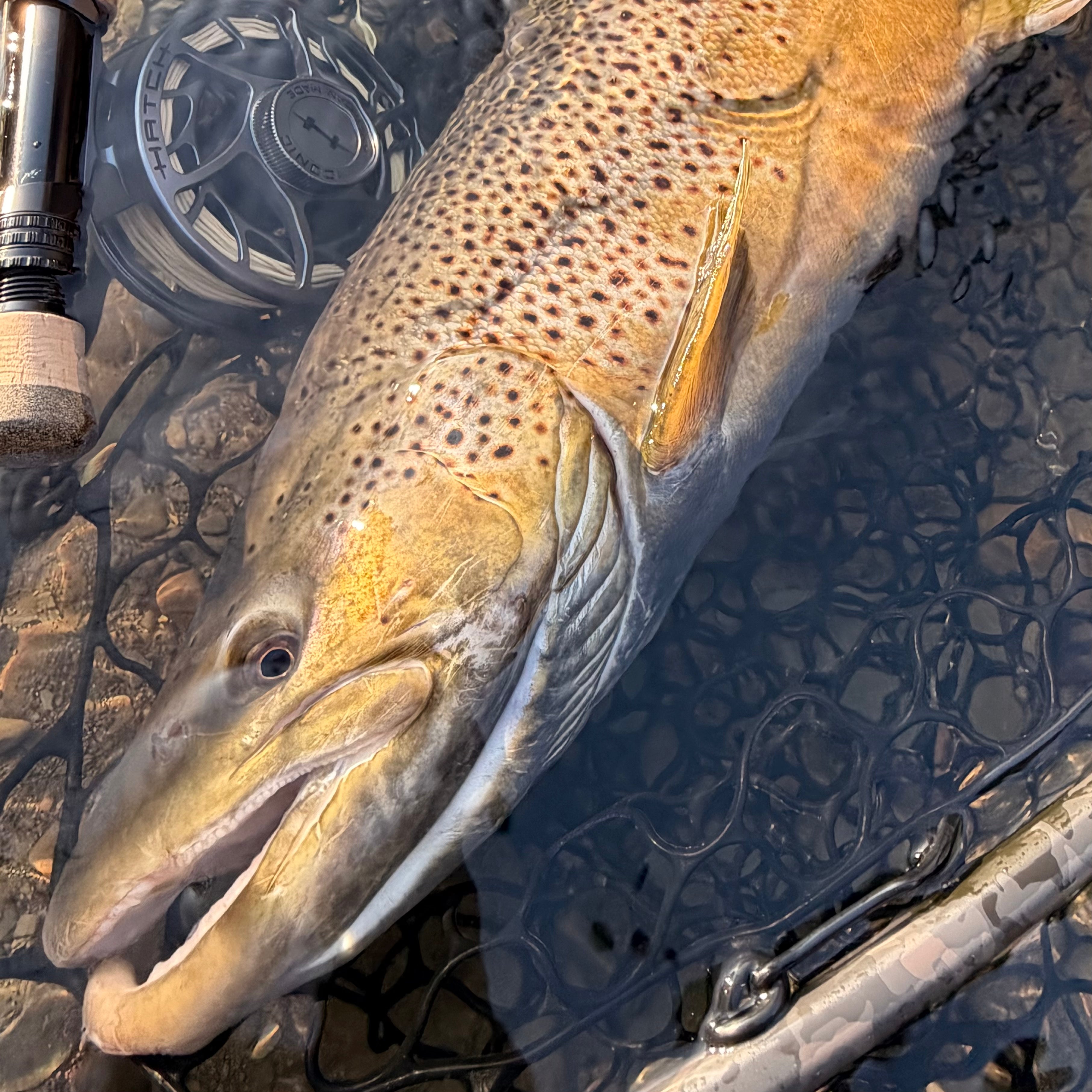 Feather Craft Veterans Retreat 2025 – Feather Craft Fly Fishing