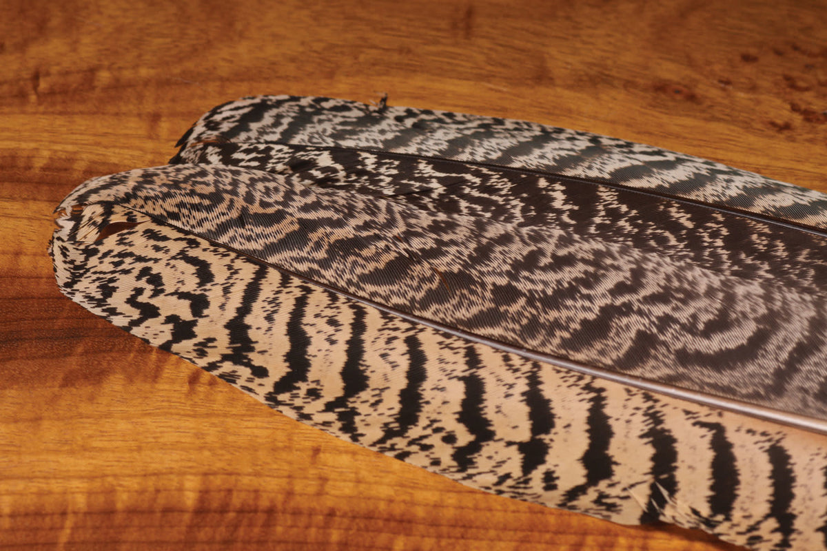 Mottled Peacock Wing Quill – Feather Craft Fly Fishing